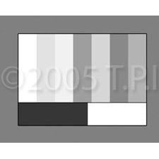 Buy 19x24 9 Step Grey Scale Chart GS-200
