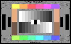 Buy DSC Labs ChromaDuMonde 12+4 CamAlign Chip Chart (Super Maxi 51.5" x ...