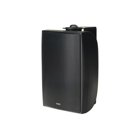 Buy Tannoy DVS 4t Ultra-Compact Surface-Mount Loudspeaker w/Transformer ...
