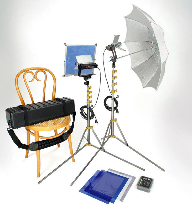 Buy Lowel V1-90ULBZ Easy V 2-Light Kit with LB-30 Soft Case V1-90ULBZ