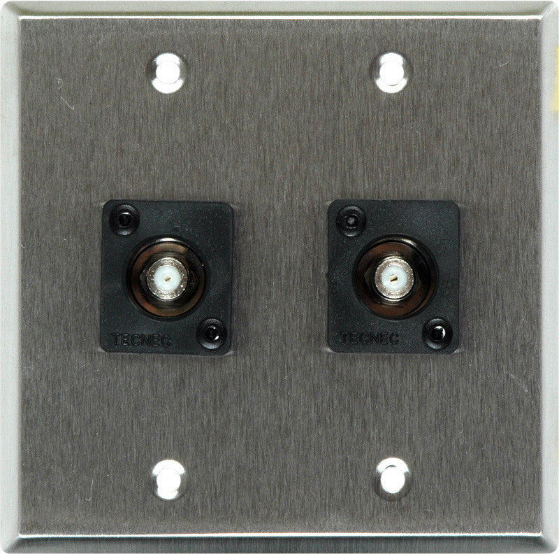 Buy Double-Gang Clear Anodized Wall Plate with 2 Front Recessed F ...
